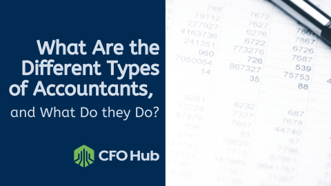 What Are the Different Types of Accountants, and What Do they Do? - CFO Hub