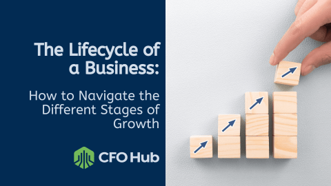 The Lifecycle of a Business: How to Navigate the Different Stages of ...